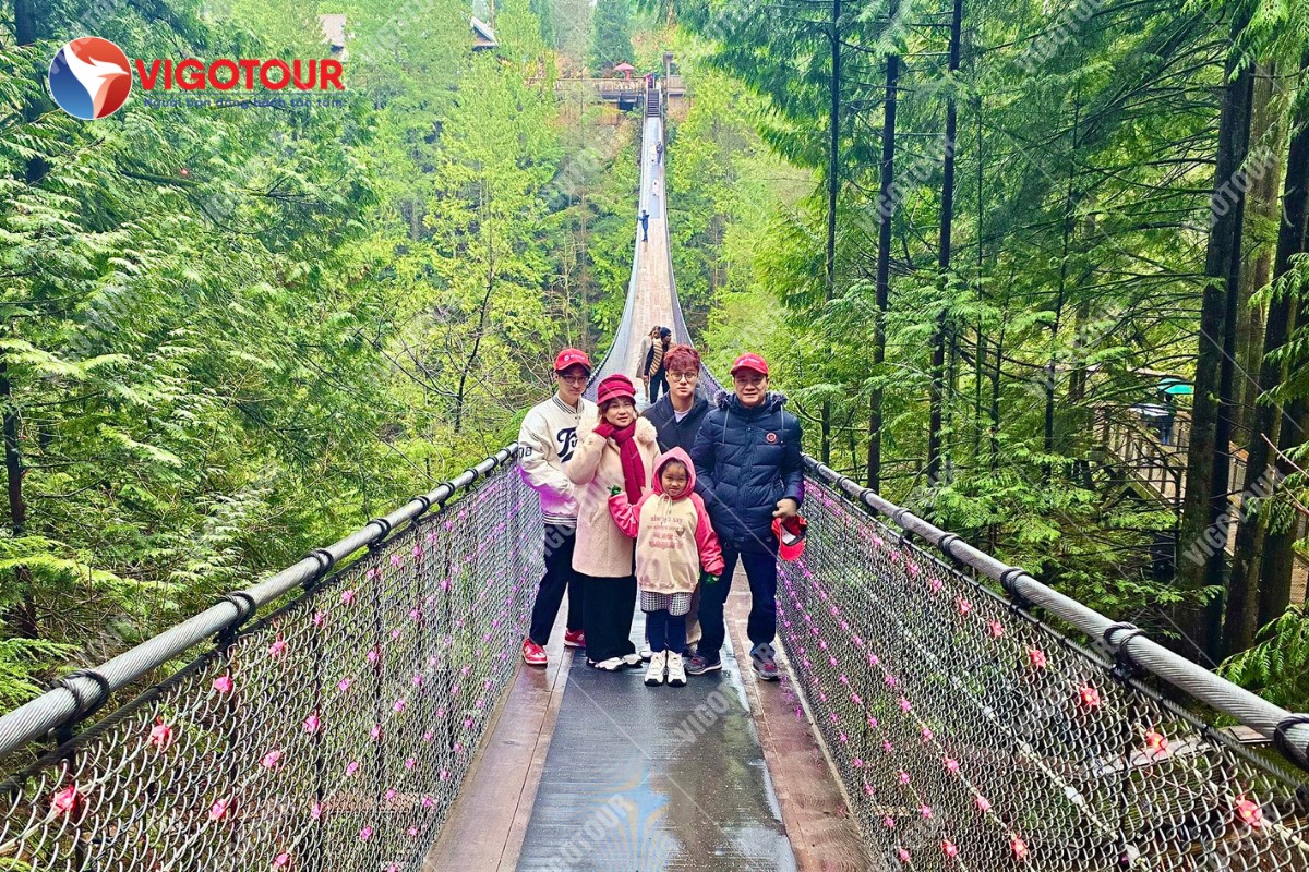 Cầu treo Capilano Canada – Cây cầu treo ngoạn mục nhất thế giới - Vigotour