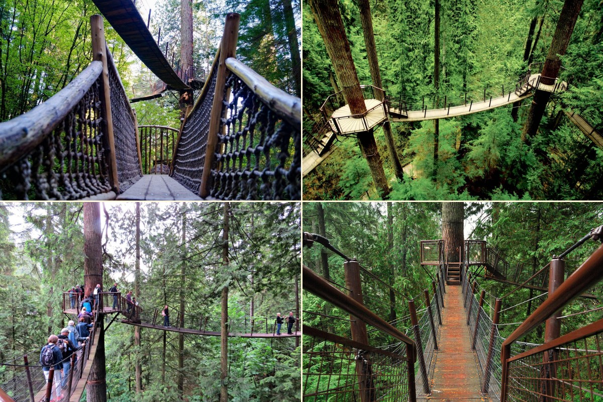 Cầu treo Capilano Canada – Cây cầu treo ngoạn mục nhất thế giới - Vigotour