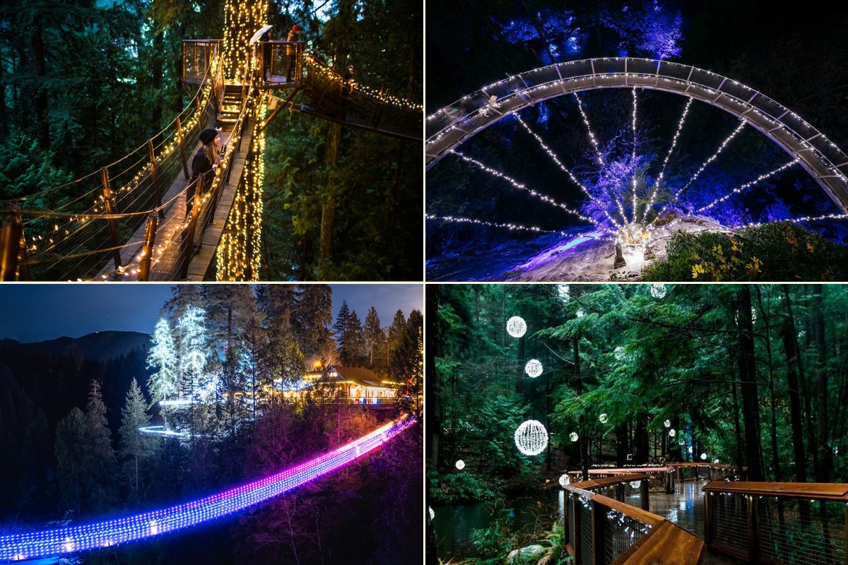 Cầu treo Capilano Canada – Cây cầu treo ngoạn mục nhất thế giới - Vigotour