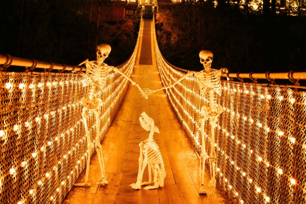 Cầu treo Capilano Canada – Cây cầu treo ngoạn mục nhất thế giới - Vigotour